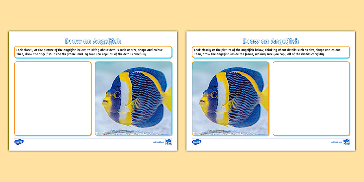 Draw an Angelfish Worksheet (teacher made) - Twinkl