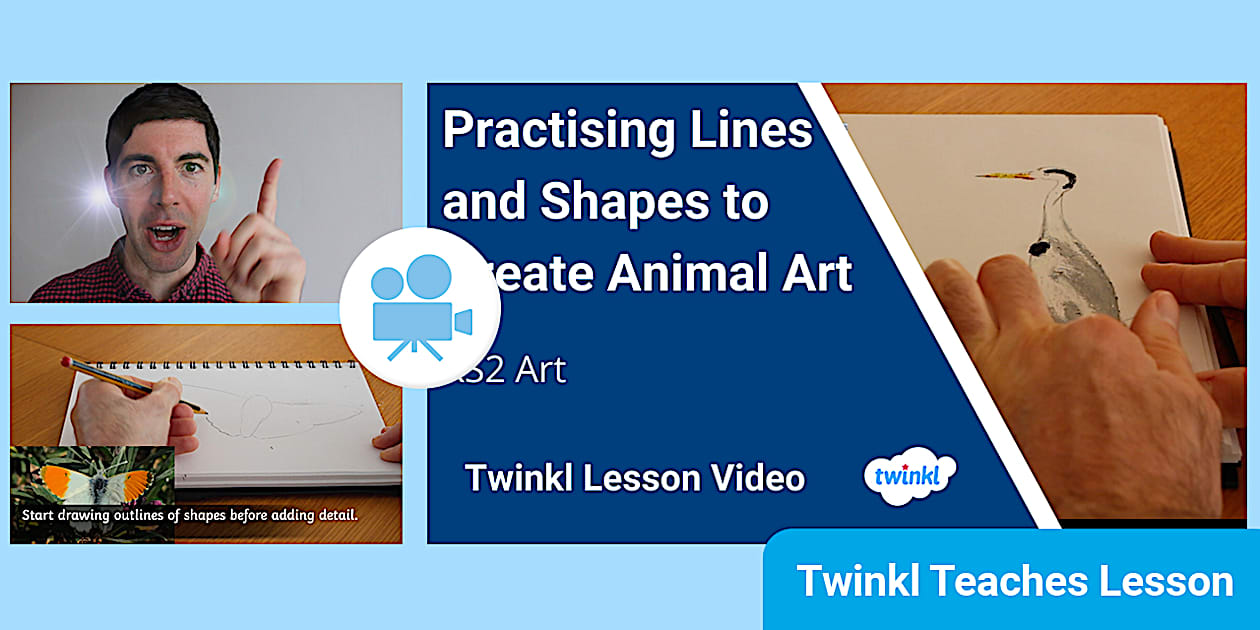 KS2 Art: Practising Lines and Shapes to Create Animal Art
