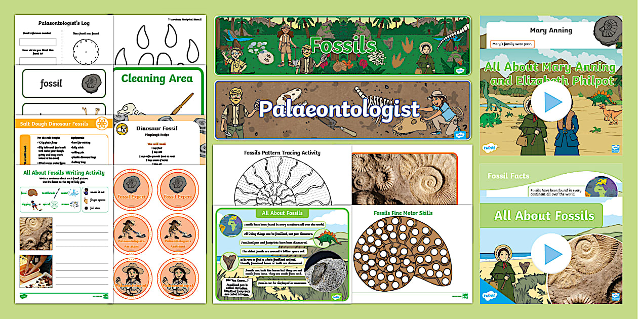 Explaining Fossils Resource Pack (teacher made) - Twinkl