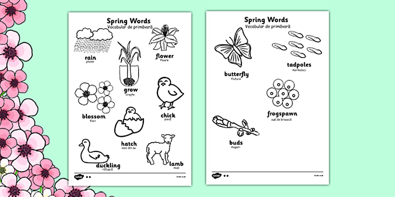 Lower Ability Spring Words Colouring Sheets Romanian Translation