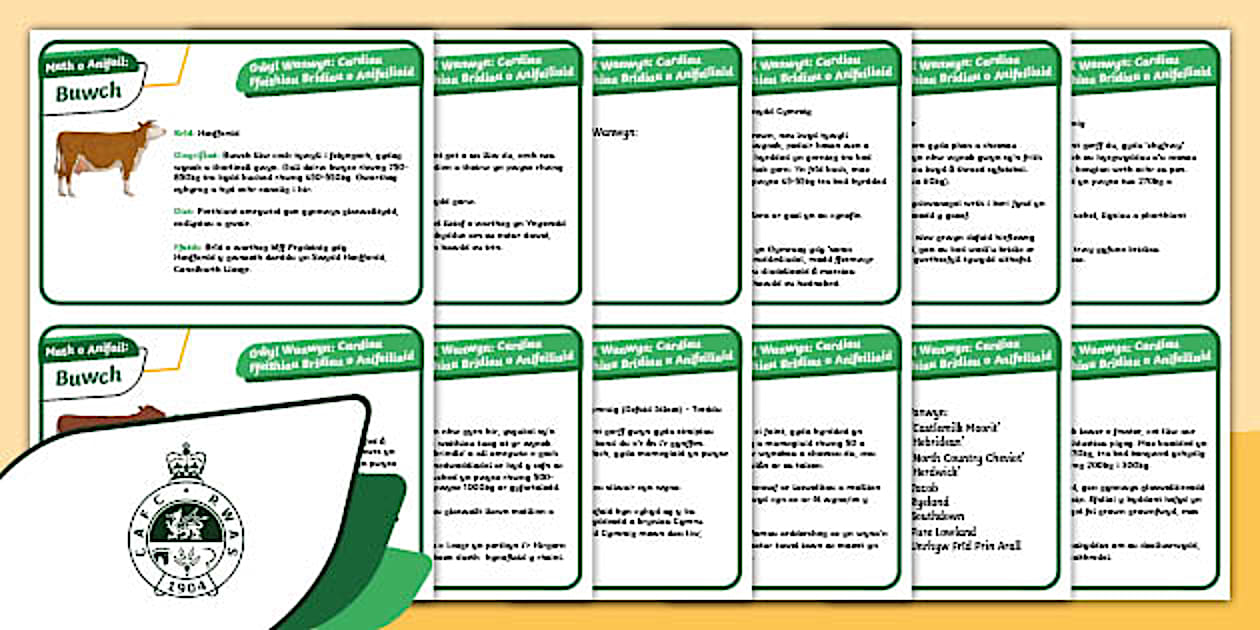 Gŵyl Wanwyn: Cardiau Ffeithiau Bridiau o Anifeiliaid