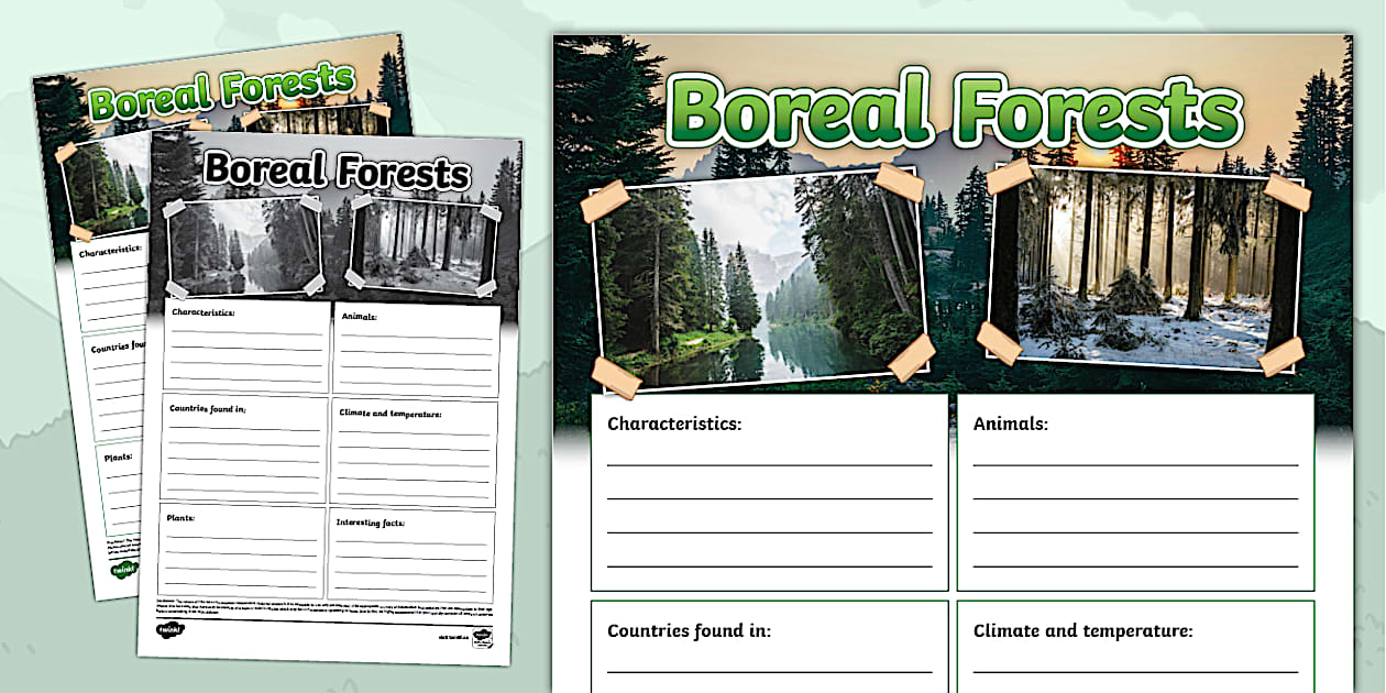 Boreal Forest Fact File Template (Teacher-Made) - Twinkl