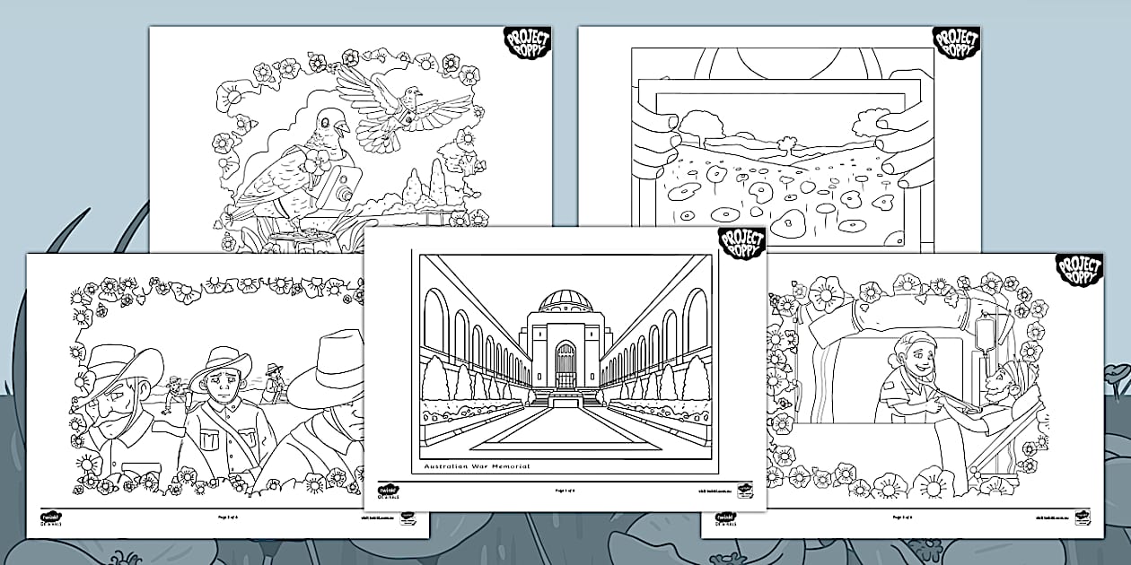 Project Poppy - Colouring Pages - Remembrance Day - Twinkl