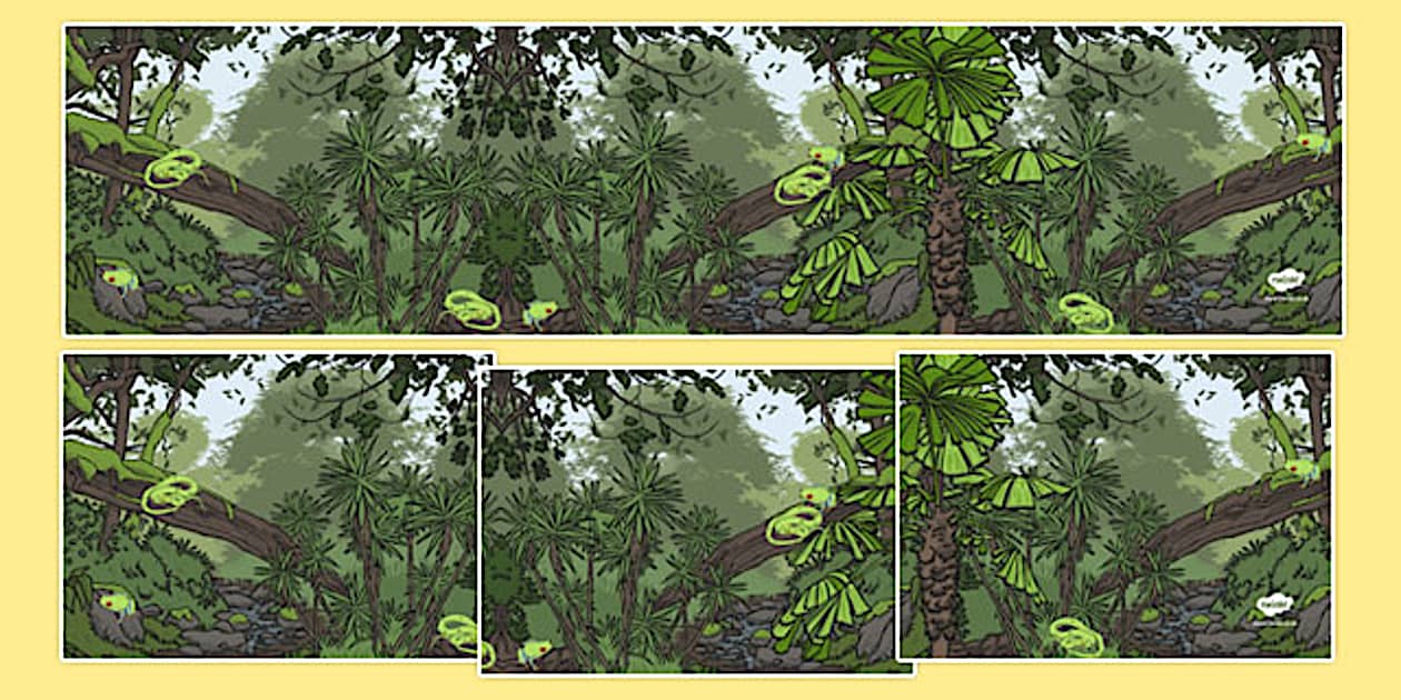 Australian Tropical Rainforest Habitat Small World Background