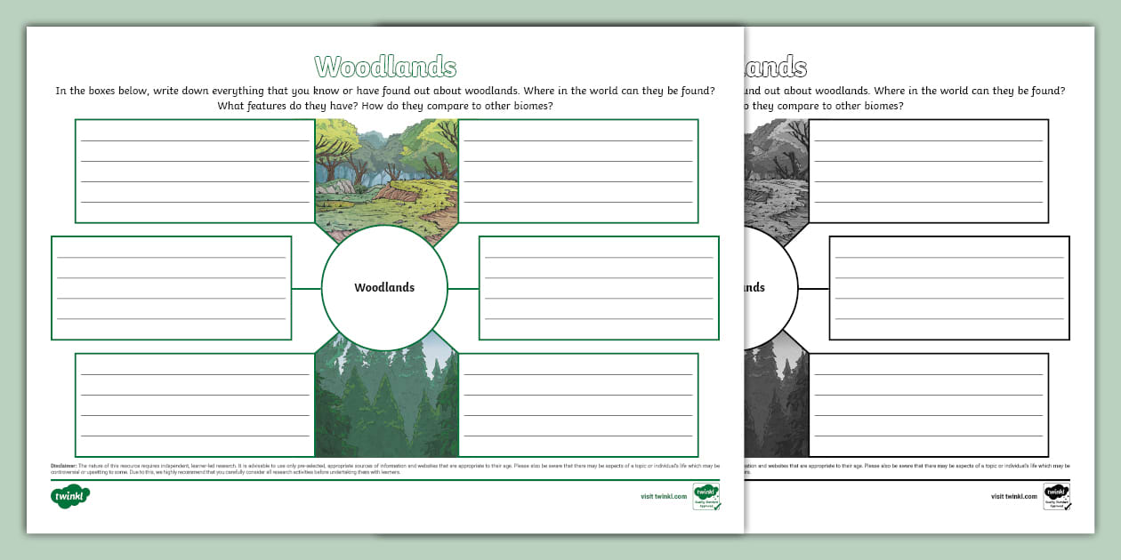 Woodlands Illustrated Mind Map - Twinkl