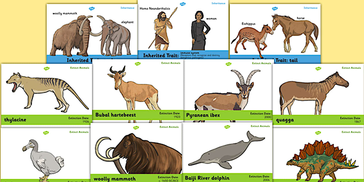 Extinction and Inheritance Display Poster Pack - Twinkl