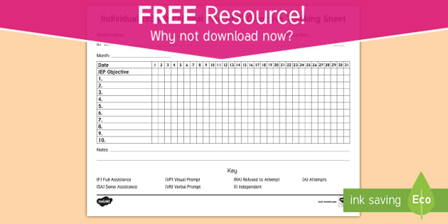 FREE Individualized Educational Plan - IEP Template | Twinkl