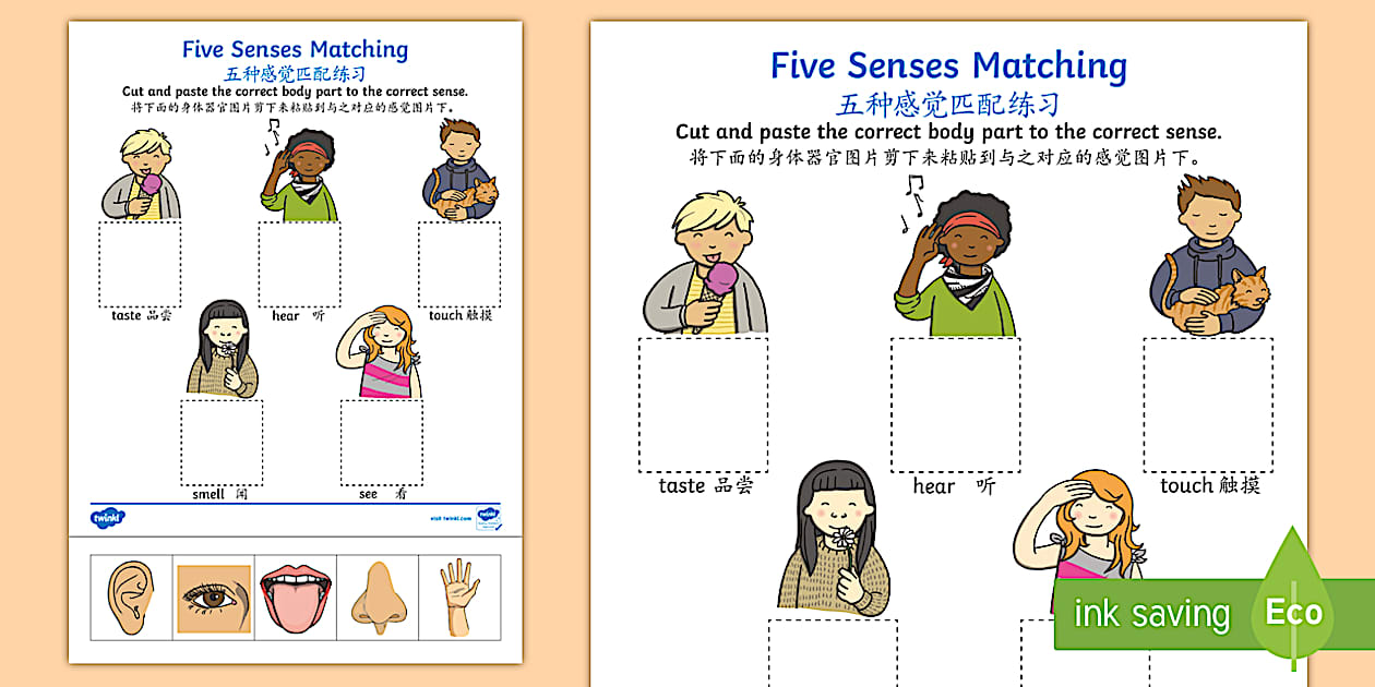 Five Senses Matching Worksheet English/Mandarin Chinese