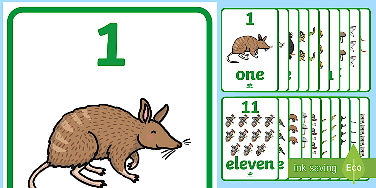 TAS Australian Animals Numbers 1-20 Display Posters - Twinkl