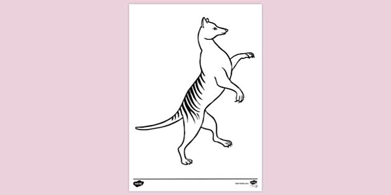 Rampant Tasmanian Tiger Colouring | Colouring Sheets