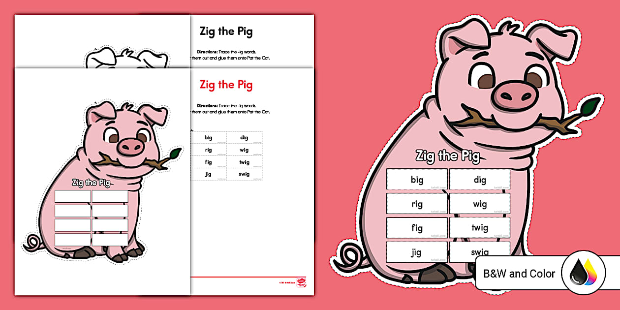 Zig the Pig Word Family Craft Activity (teacher made)