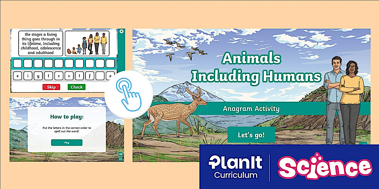 Animals Including Humans Anagram Activity