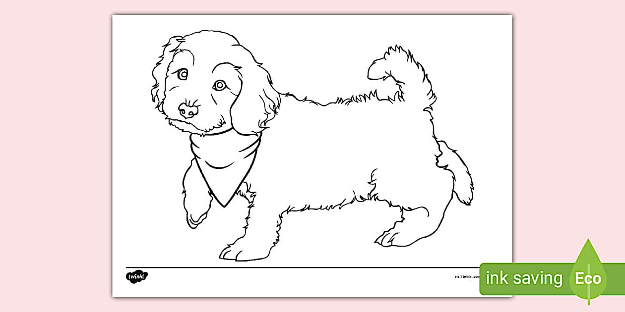 Cockapoo Colouring Page - Twinkl - KS1 - Twinkl