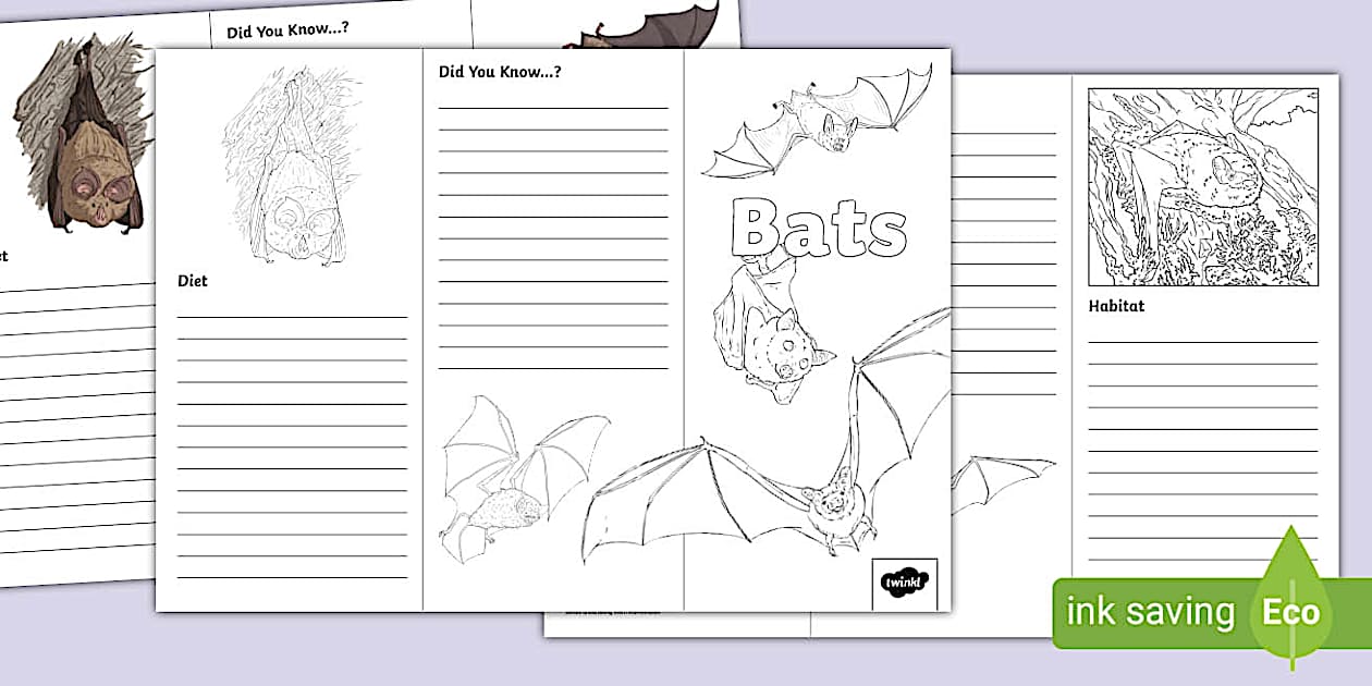 Bats Leaflet Template (Hecho por educadores) - Twinkl