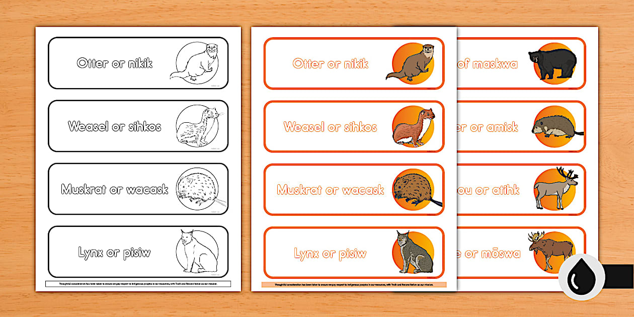Plains Cree animals (word cards)