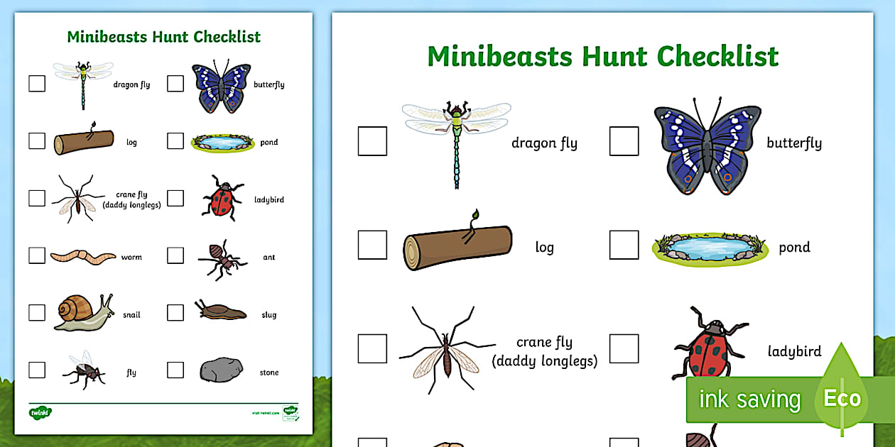 Editable Minibeast Hunt Checklist (Lehrer gemacht) - Twinkl