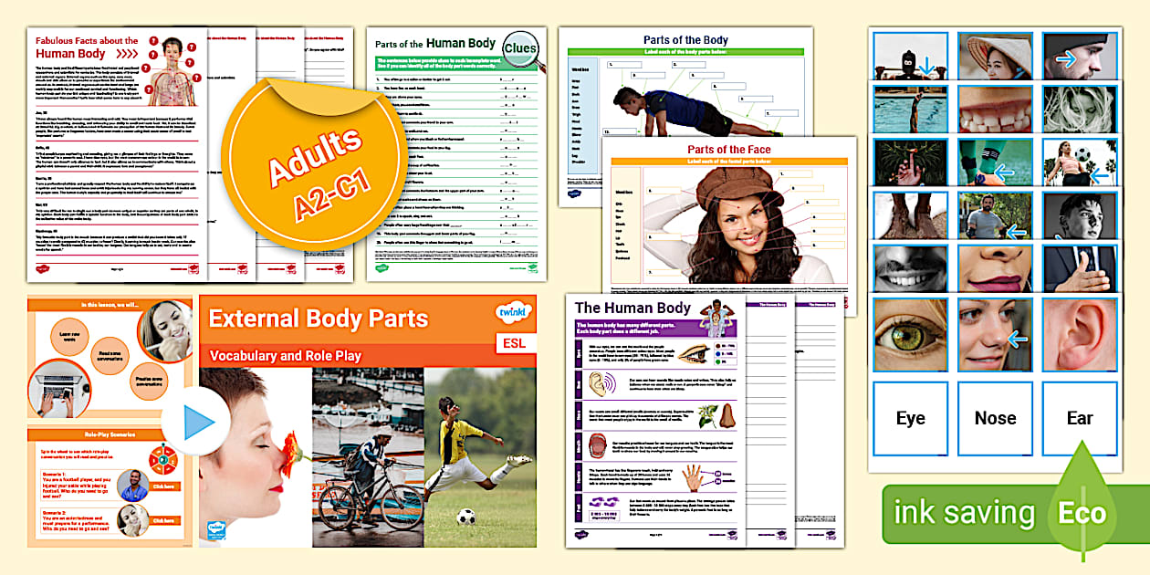 ESL Body Parts Activities: Adults Resource Pack - Twinkl