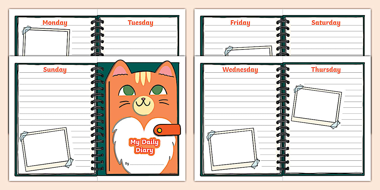 Daily Diary Entry Template (teacher made) - Twinkl