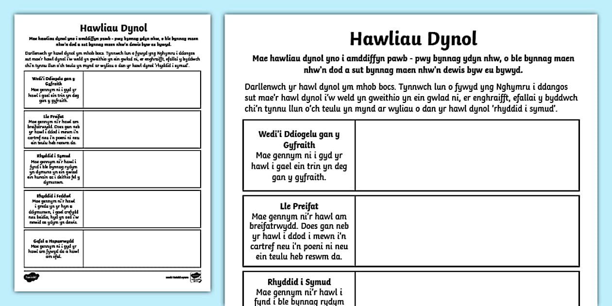 Taflen Weithgaredd Hawliau Dynol (Teacher-Made) - Twinkl