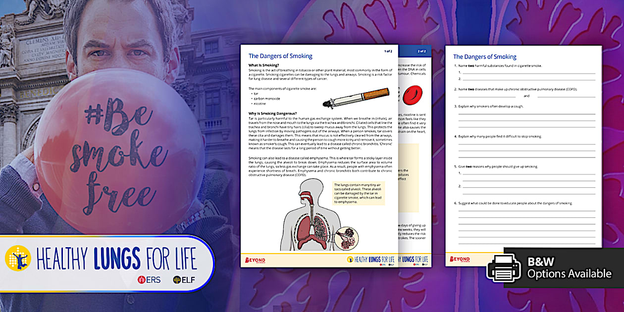 FREE! - KS3 Smoking Reading Comprehension (Teacher-Made)