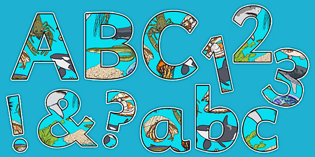 Editable New Zealand Under the Sea Display Letters and Numbers Pack
