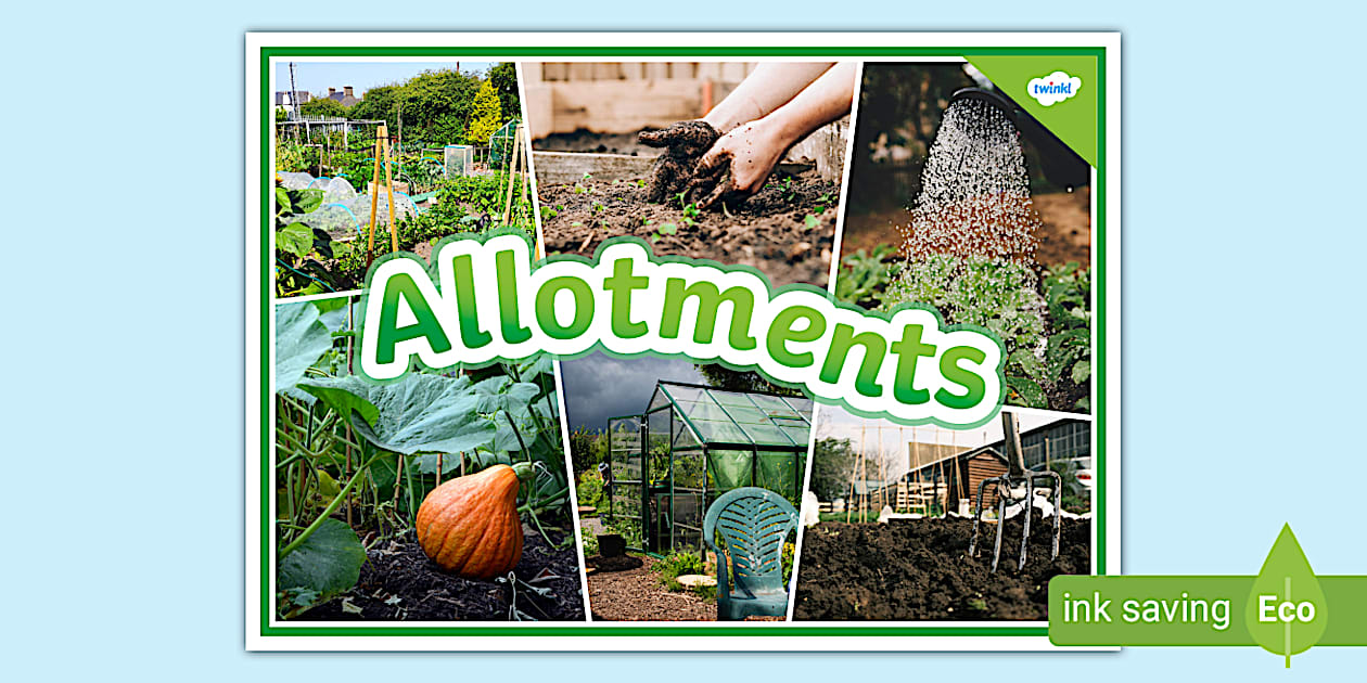 Allotments Photo Display Poster (teacher made) - Twinkl