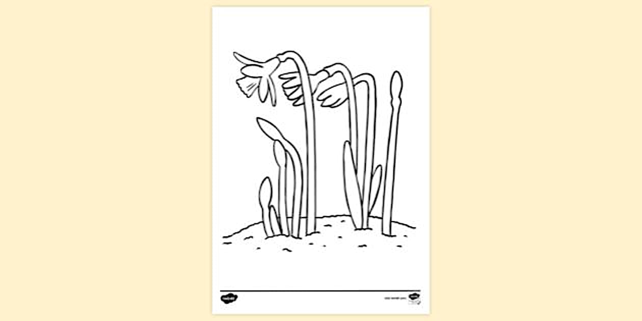 Spring Flowers Colouring | Colouring Sheets (teacher made)