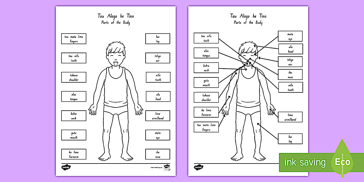 Parts of the Body Display Poster Niuean/English