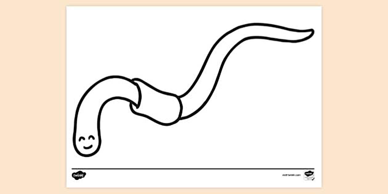 Worm Colouring Sheet | Colouring Pages - Twinkl