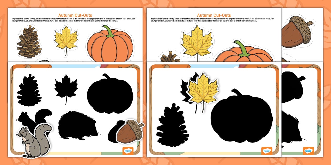 Autumn Picture and Shadow Matching - Twinkl Resource