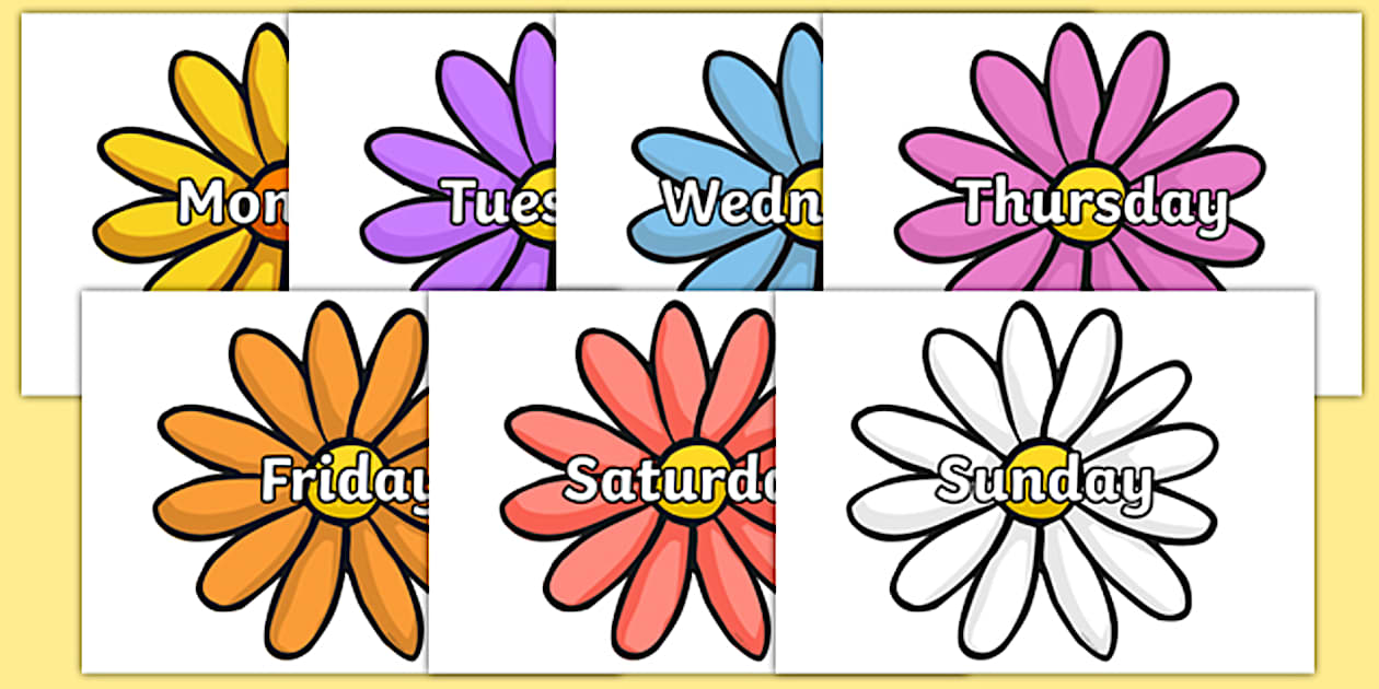 Days of the Week on Flowers (teacher made) - Twinkl