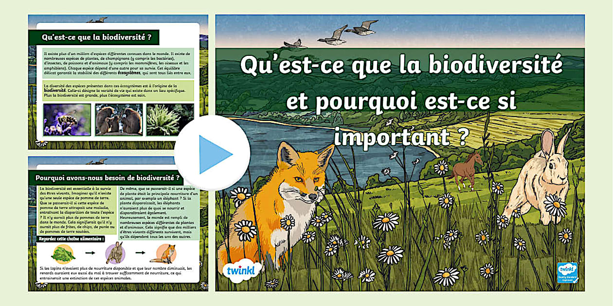 Powerpoint sur la biodiversité (teacher made) - Twinkl