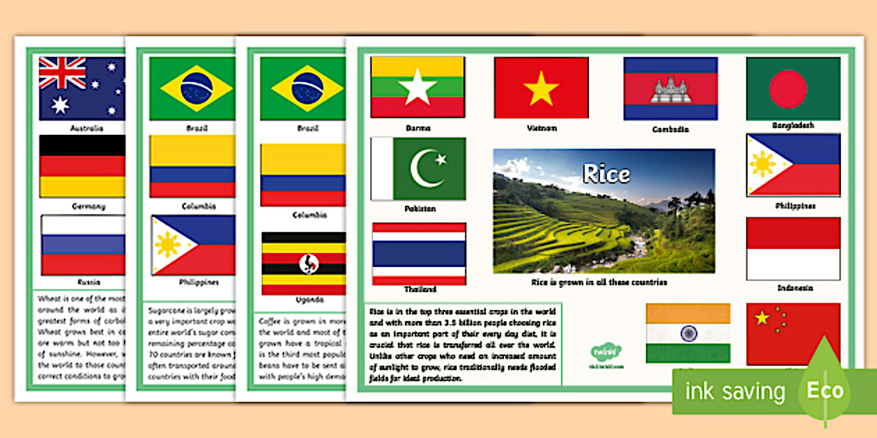 Where food Is Made Country Posters (Hecho por educadores)