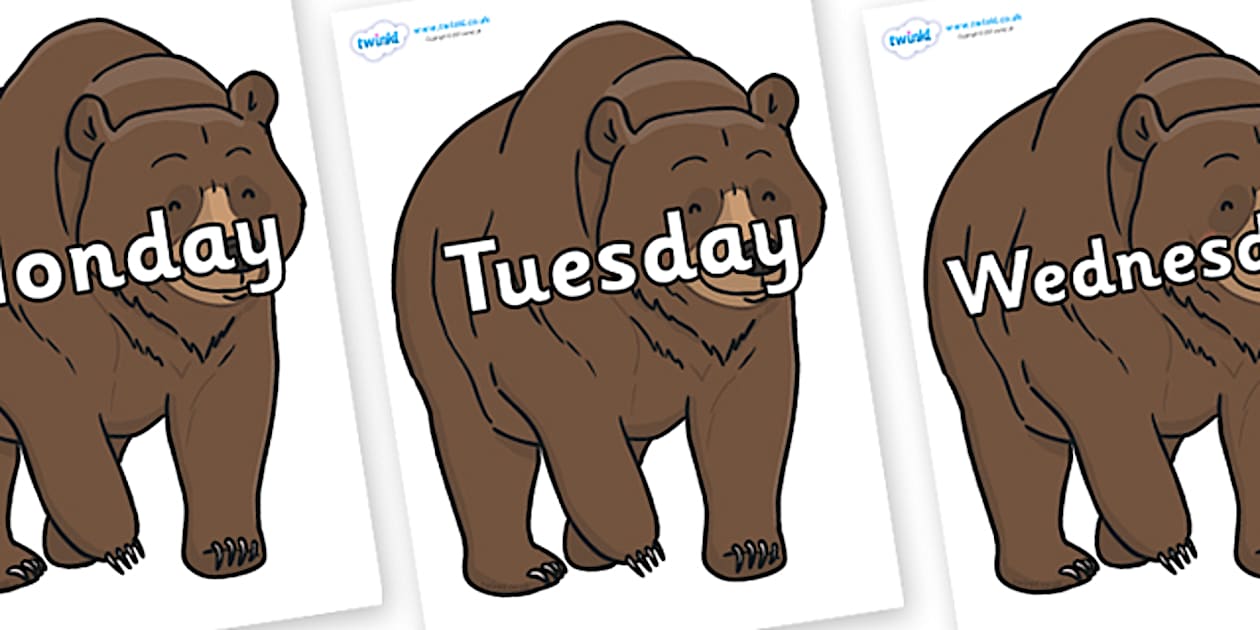 Days of the Week on Bear (teacher made) - Twinkl