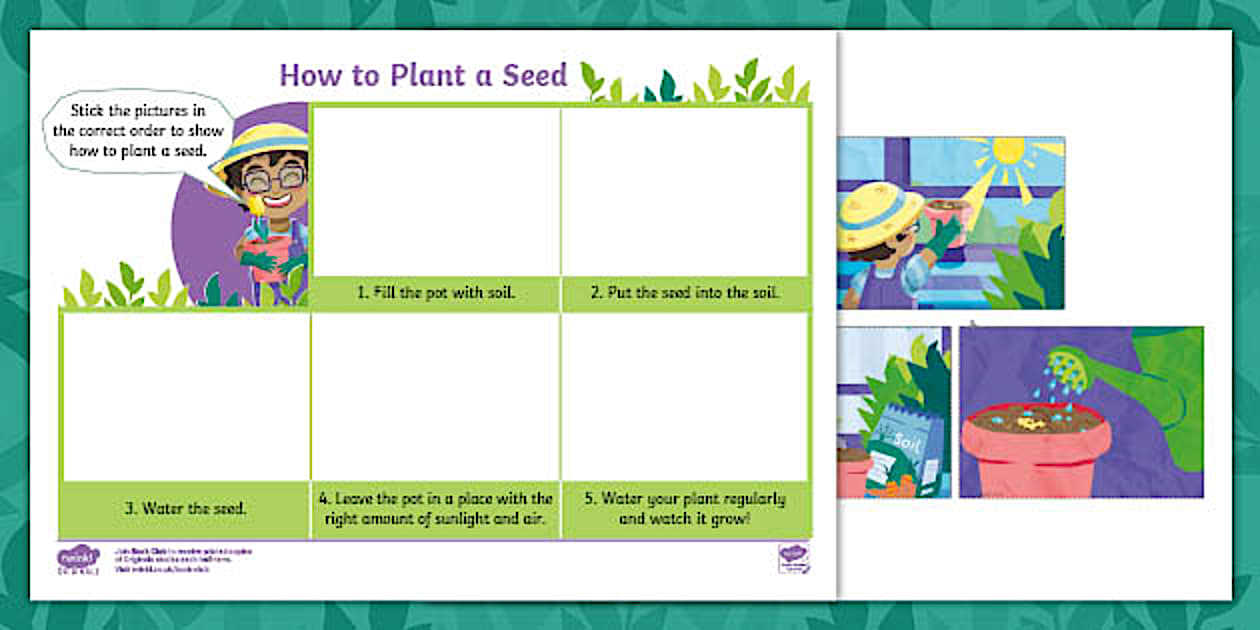 Plant a Seed Sequencing Activity (teacher made) - Twinkl