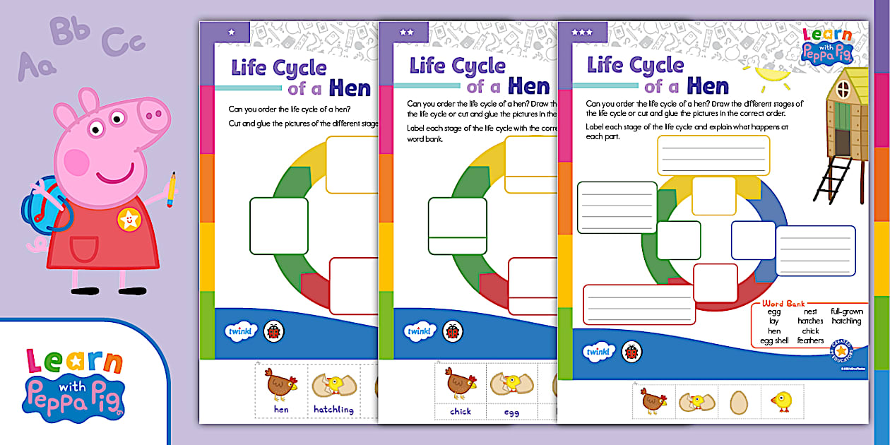 FREE! - Peppa Pig: Life Cycle of a Hen Differentiated Worksheet