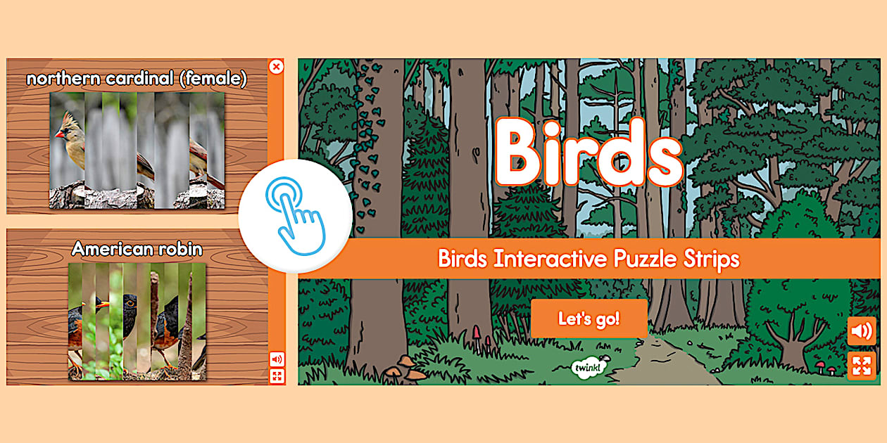 Birds Interactive Puzzle Strips - Twinkl