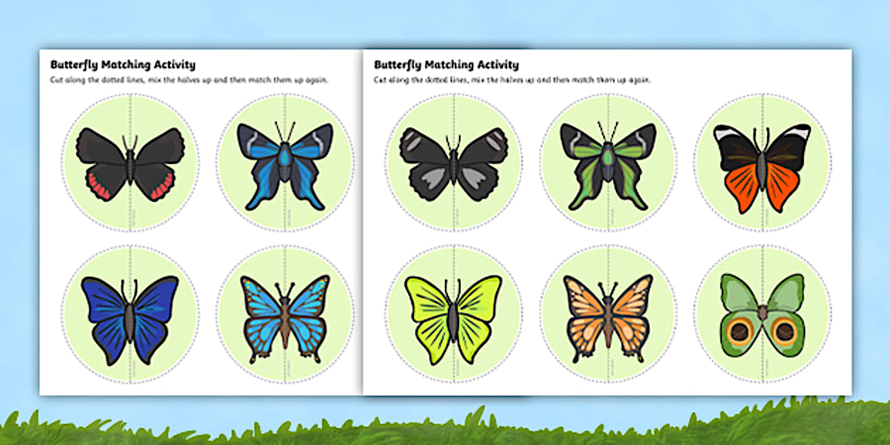 Butterfly Matching Activity (teacher made) - Twinkl