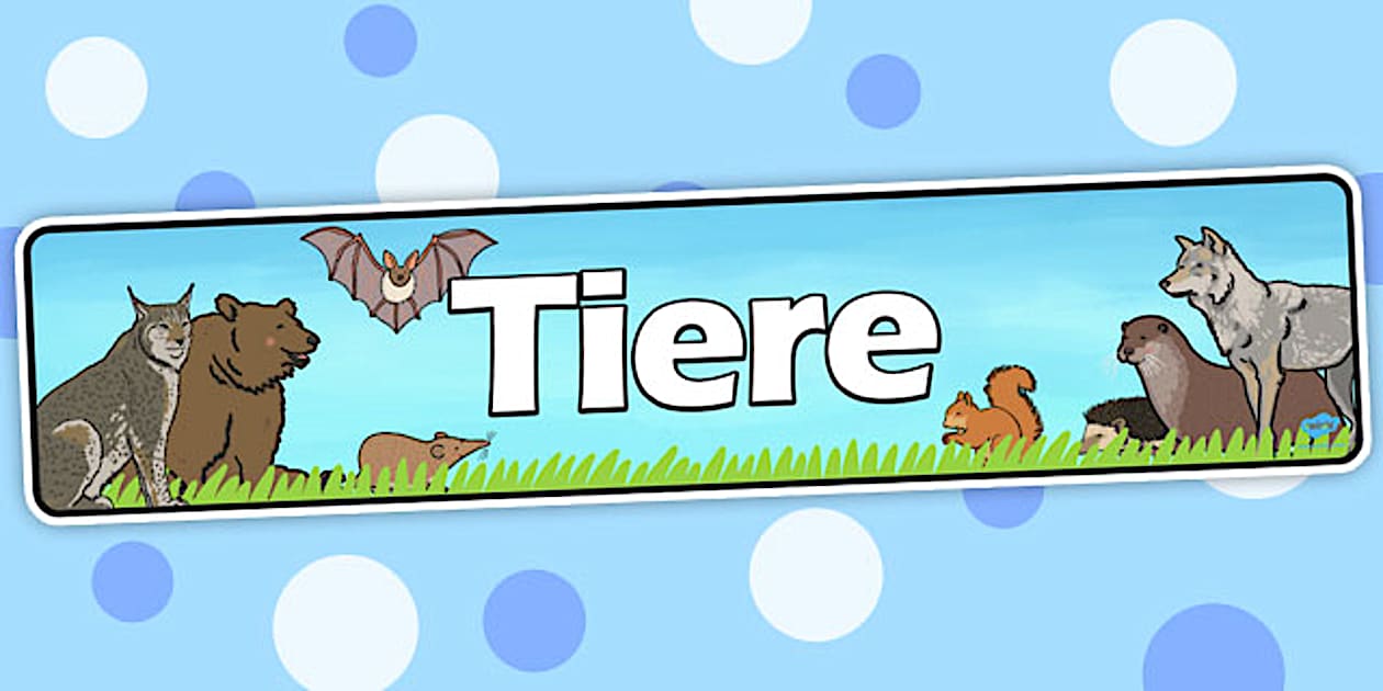 German Animals Display Banner (Teacher-Made) - Twinkl