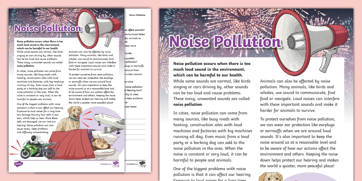 Noise Pollution (teacher made) - Twinkl