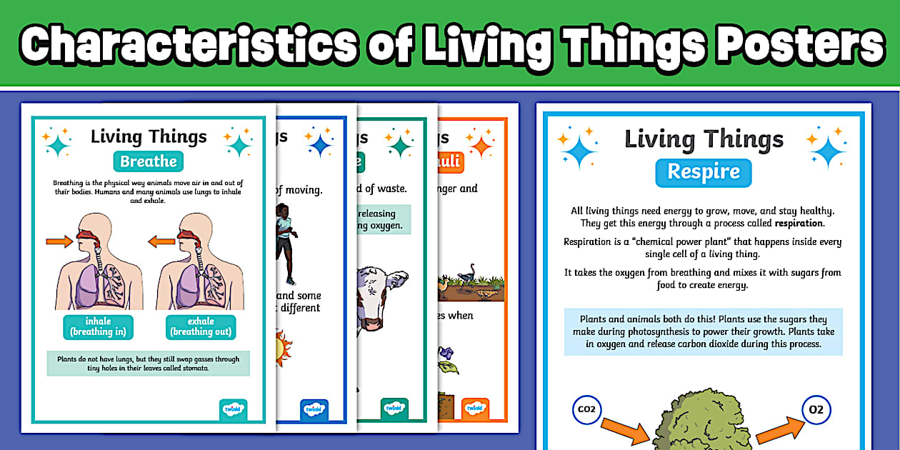 Characteristics of Living Things