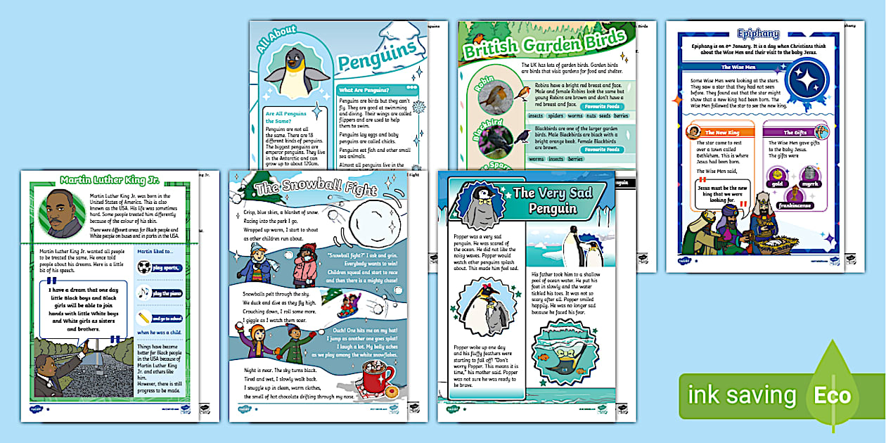 KS1 January Reading Comprehension Pack | Twinkl - Twinkl