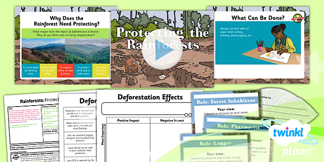 Geography: Rainforests: Protecting the Rainforest Year 3 Lesson Pack 6