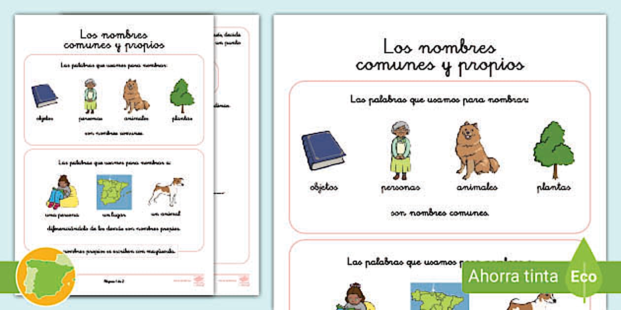 Ficha de nombres propios y comunes 2 primaria (teacher made)