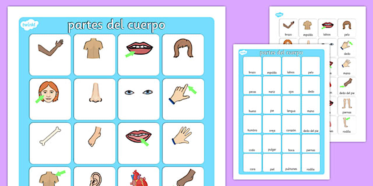 partes del cuerpo Vocabulary Matching Mat Spanish - Twinkl