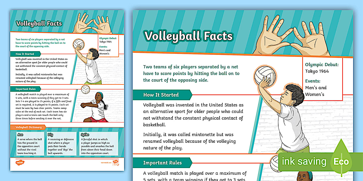 Volleyball Fact Sheet (teacher made) - Twinkl