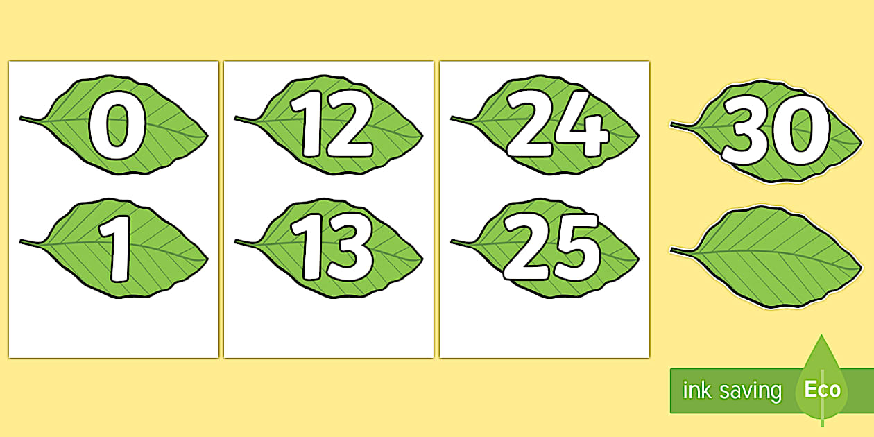 Numbers 0-30 on Leaves Display Cut-Outs (teacher made)