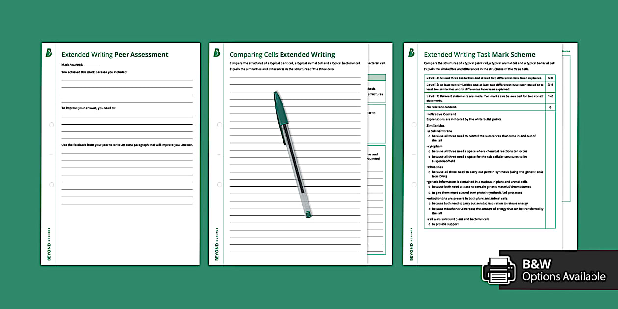 Comparing Cells Extended Writing | KS3 | Beyond Science
