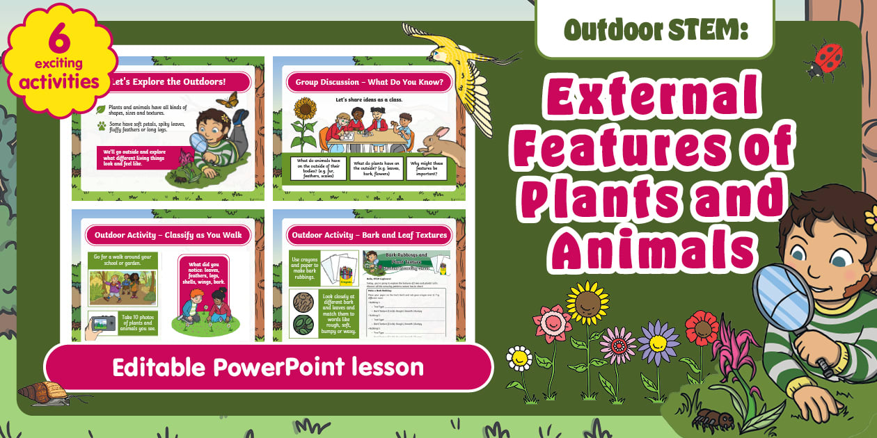 Outdoor STEM: External Features PowerPoint