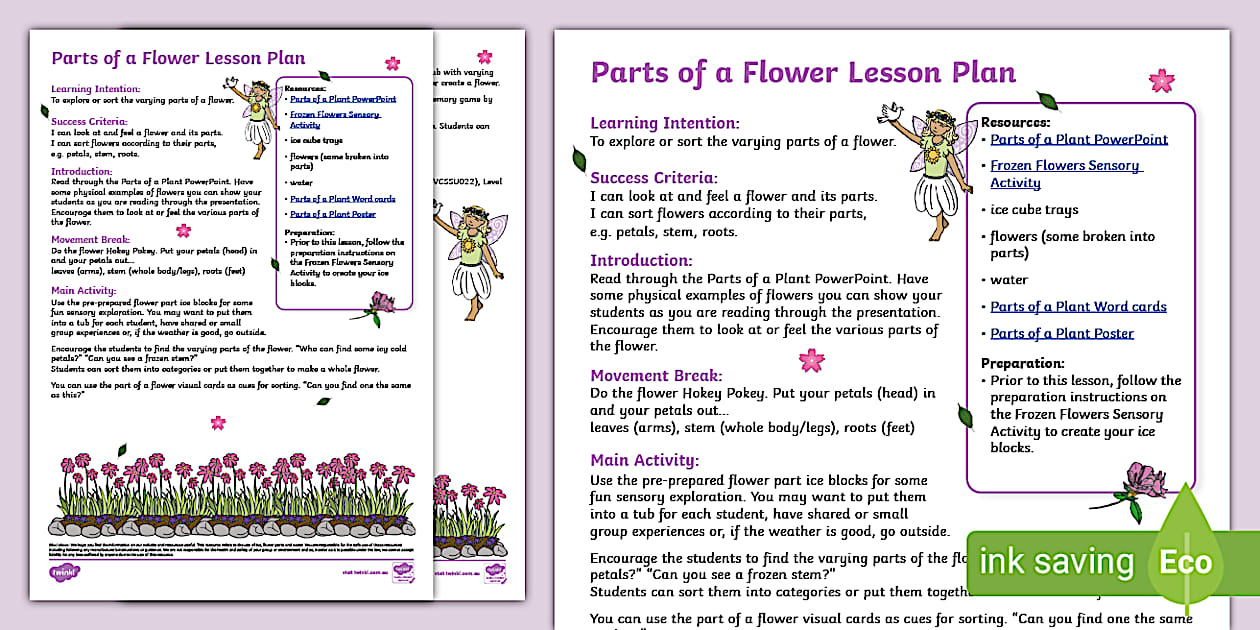 Parts of a Flower Science Lesson Plan (for pre-foundation)
